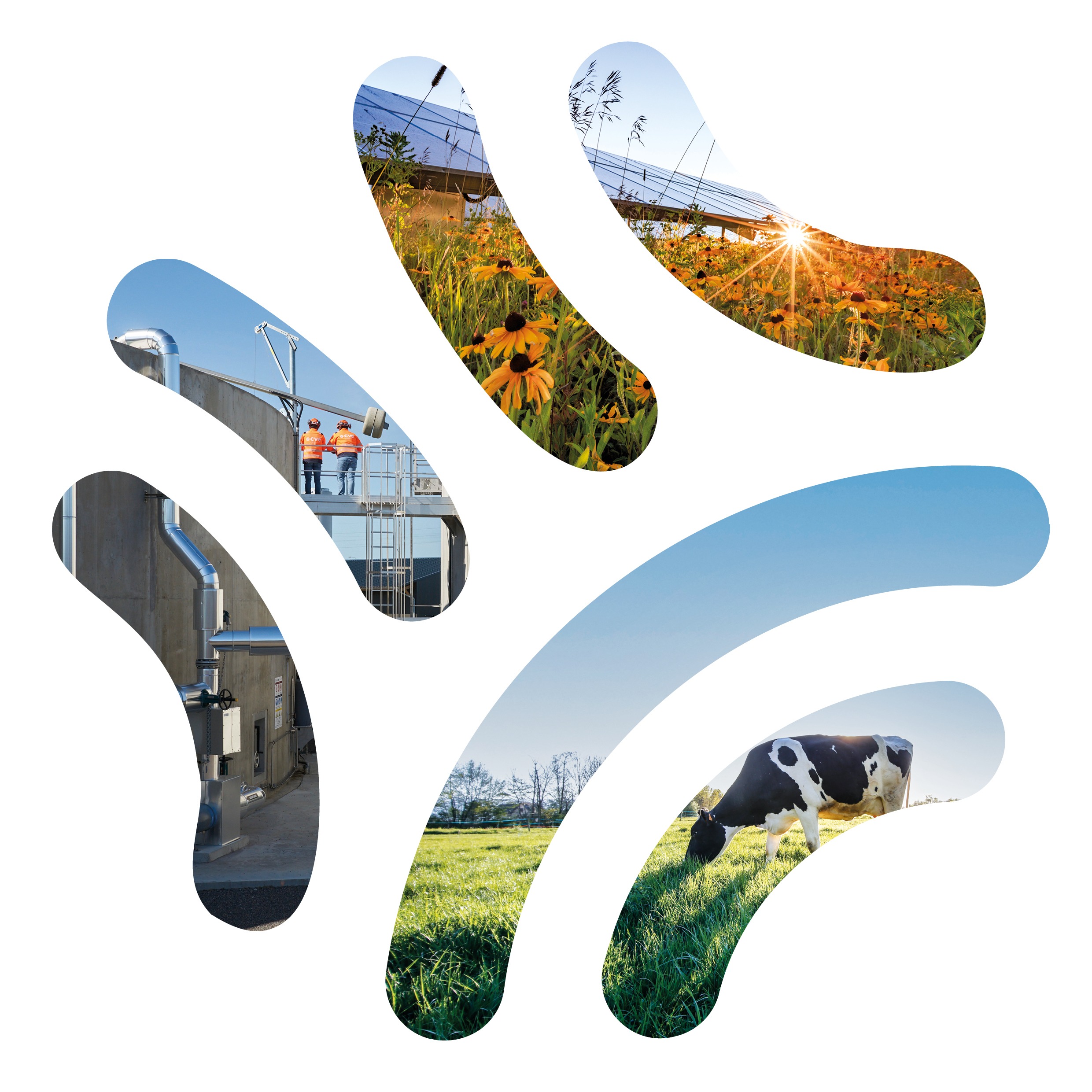 CVE x Sommet de l'élevage : Demande d'invitation